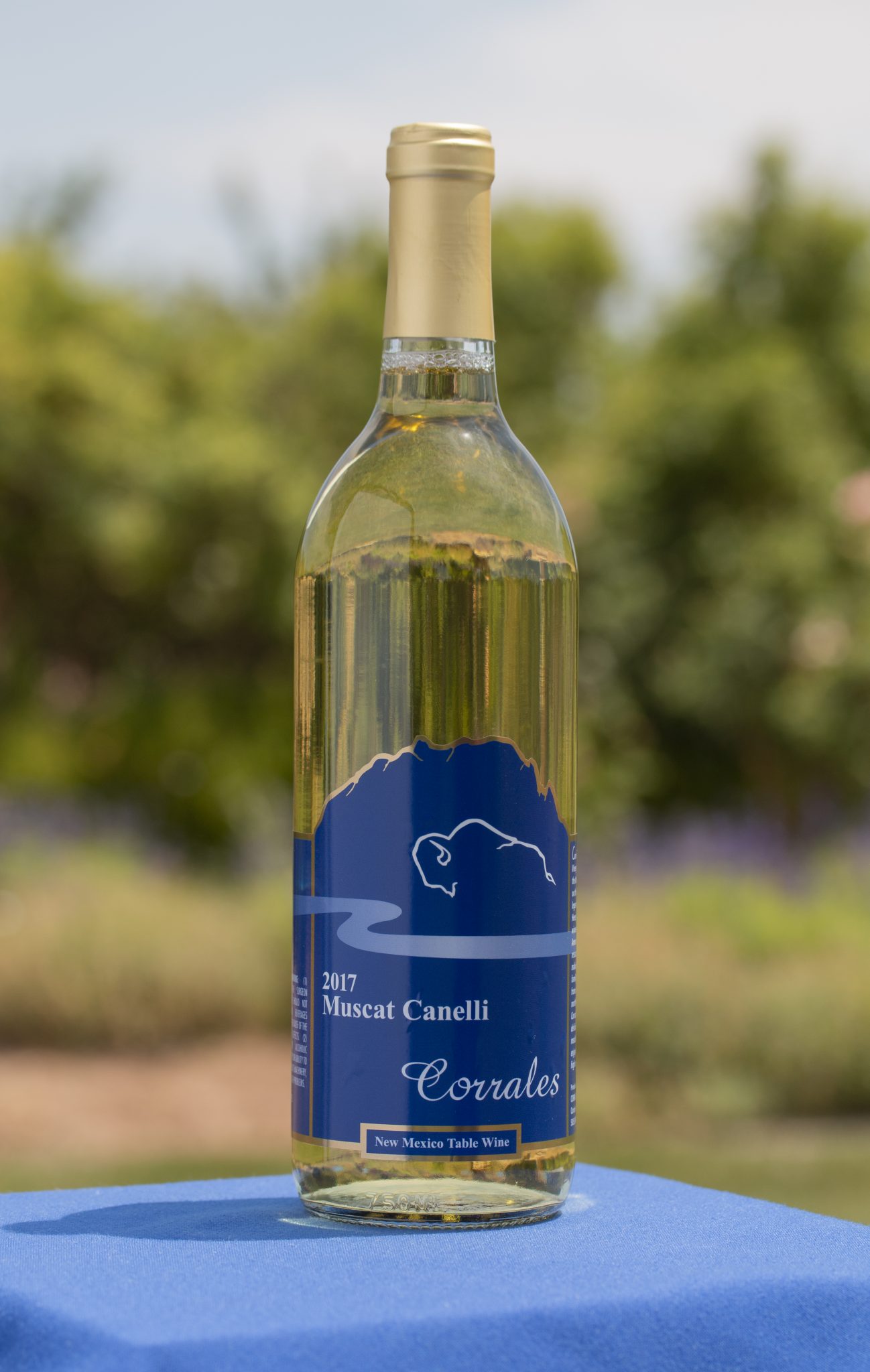 2017 Muscat Cannelli – Corrales Winery